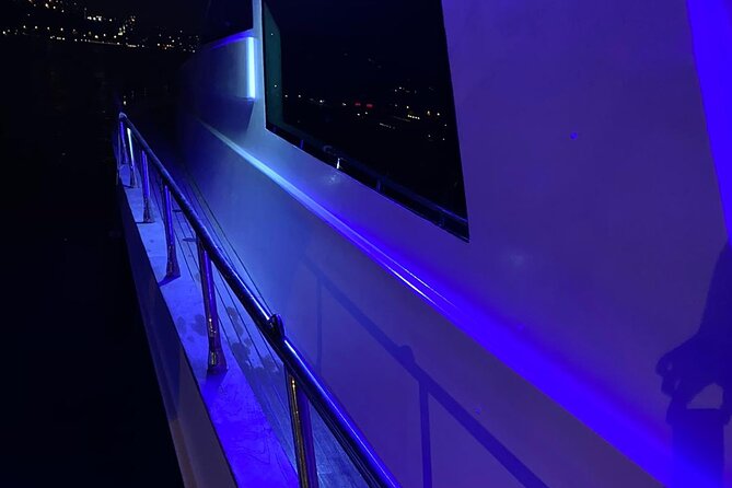 Bosphorus Sightseeing, Swimming and Cultural Tour by Luxy Yacht - Accessibility and Health Information