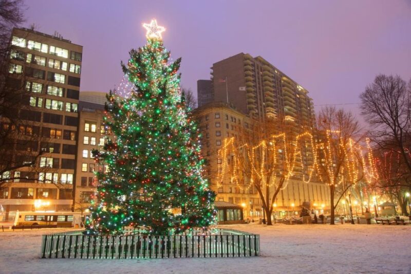 Boston: A Bostonian Christmas Tour - Why Choose This Tour?