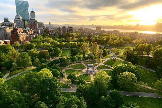Boston & Cambridge Icons: Private 7-Hour Discovery Tour - Exploring Boston & Cambridge: What to Expect