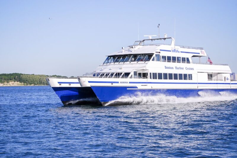 Boston: City Cruises Whale Watching Cruise - Final Thoughts: Who Should Consider This Experience?