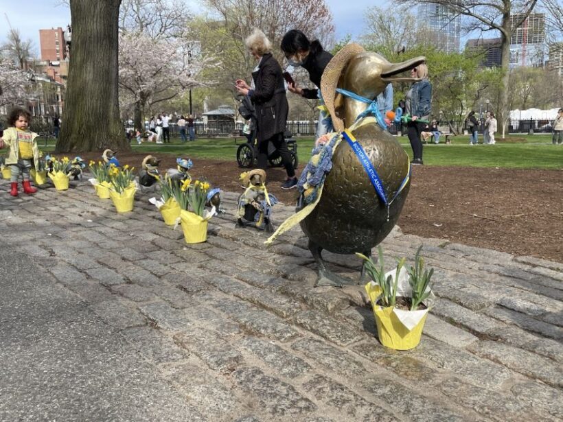Boston: City History and Highlights Audio App Walking Tour - Who Is This Tour Best For?