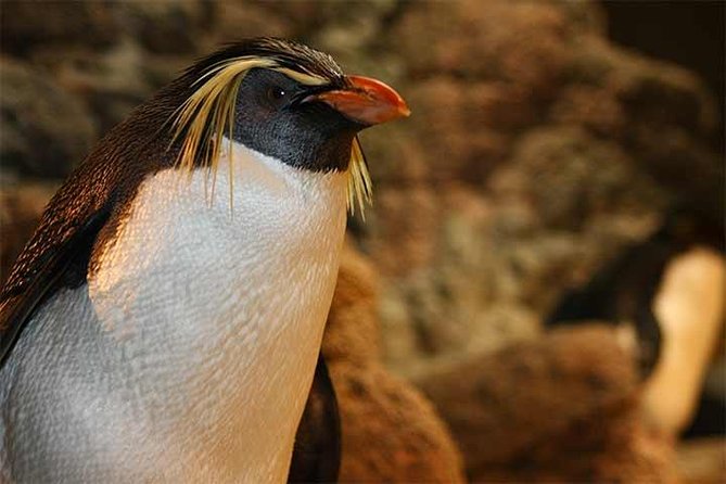 Boston CityPASS® - How the Experience Works