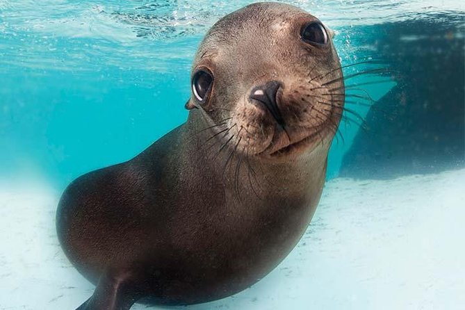 Boston CityPASS® - Authentic Feedback from Travelers