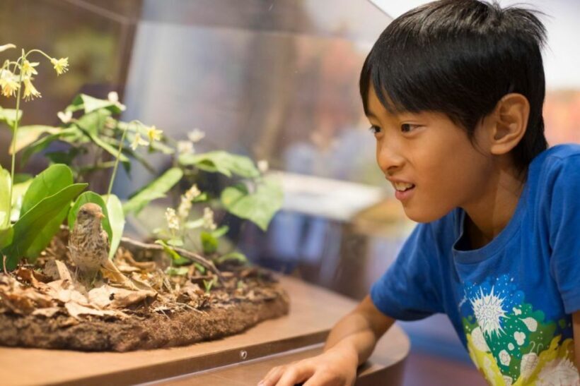 Boston CityPASS®: Save up to 46% at 4 Top Attractions - Final Thoughts