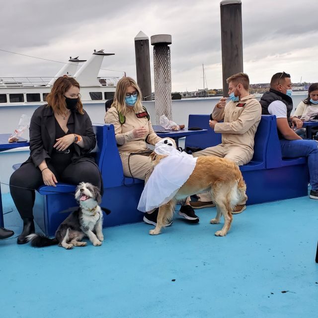 Boston: Dog-Friendly Halloween Costume & Sightseeing Cruise - An In-Depth Look at the Experience