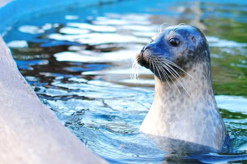 Boston: Explorer Pass Save up to 50% on 30+ Top Attractions - Practical Tips for Making the Most of the Pass