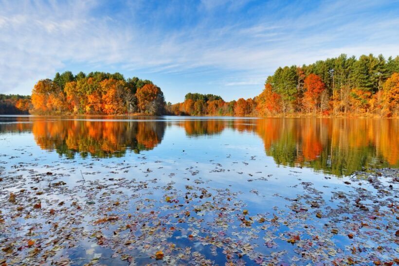Boston Harbor Fall Foliage Weekend Brunch Cruise - Who Is This Tour Best For?