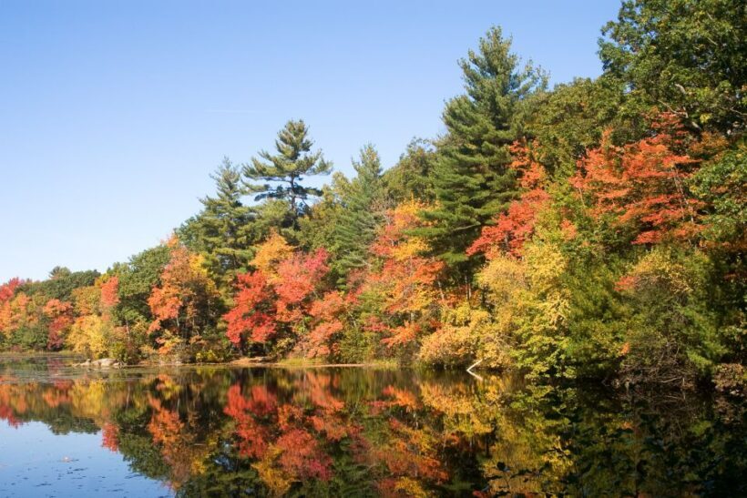 Boston Harbor Fall Foliage Weekend Brunch Cruise - The Sum Up: The Best Fall Harbor Experience