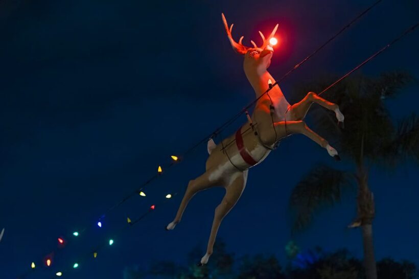Boston: Holiday Sights and Festive Nights Trolley Tour - FAQ