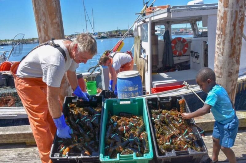 Boston: Kennebunkport Day Trip with Optional Lobster Tour - The Sum Up: Is It Worth It?