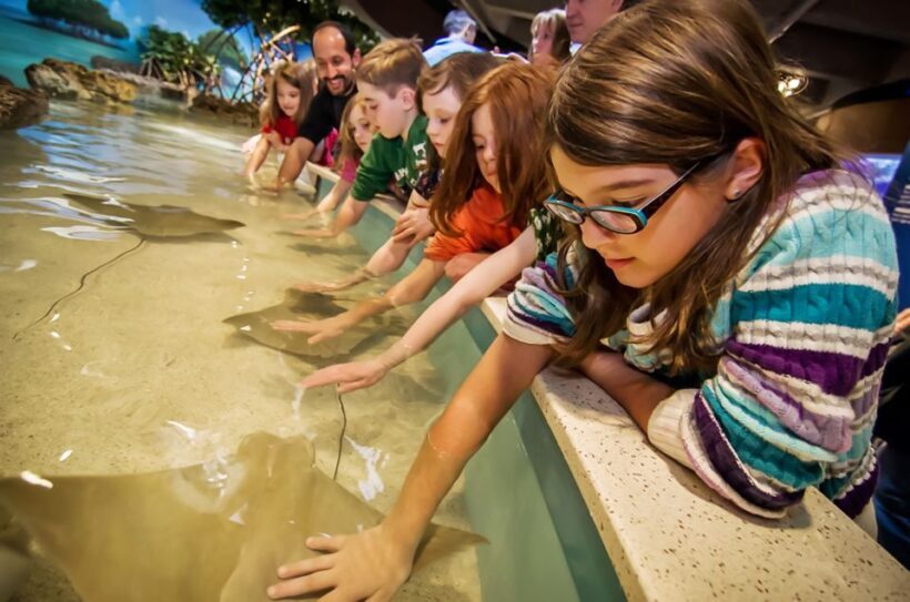 Boston: New England Aquarium Entry + Optional Simons Theatre - Key Points