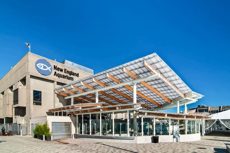 Boston: New England Aquarium Skip-the-Line Entry Ticket - An In-Depth Look at the New England Aquarium Experience