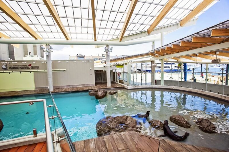 Boston: New England Aquarium Skip-the-Line Entry Ticket - The Sum Up