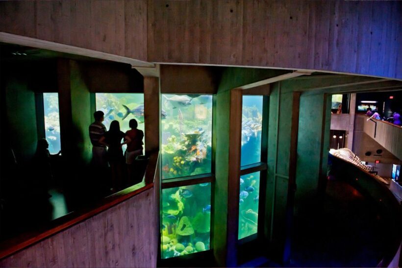Boston Pass: Save up to 50% - Includes Franklin Park Zoo - An Overview of the Boston Pass Experience