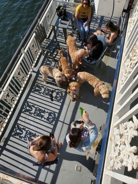 Boston: Scenic Harbor Cruise (Dog-Friendly) - FAQs