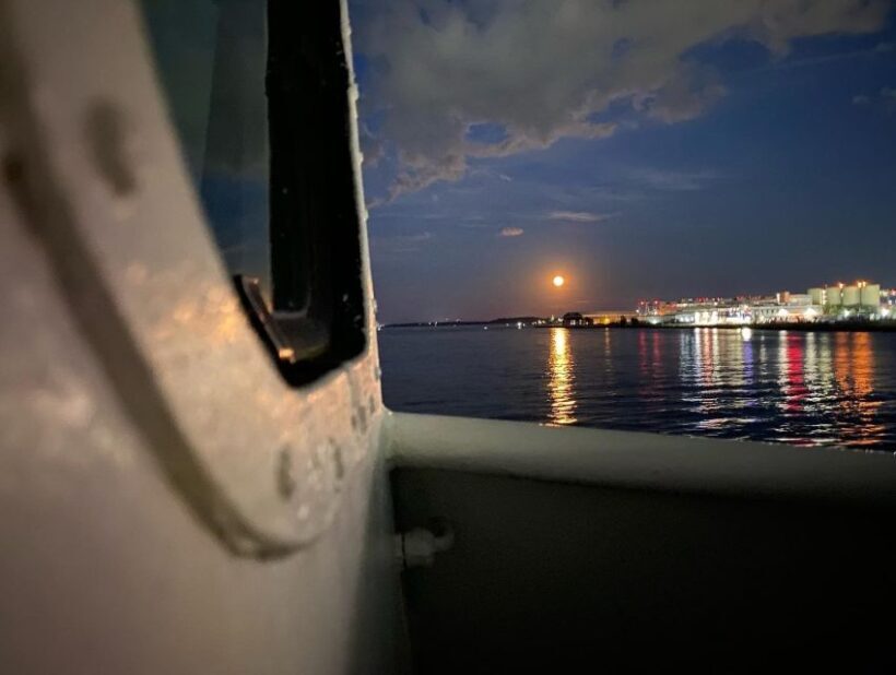 Boston: Scenic Moonlight Harbor Cruise - Practical Tips for Enjoying the Cruise