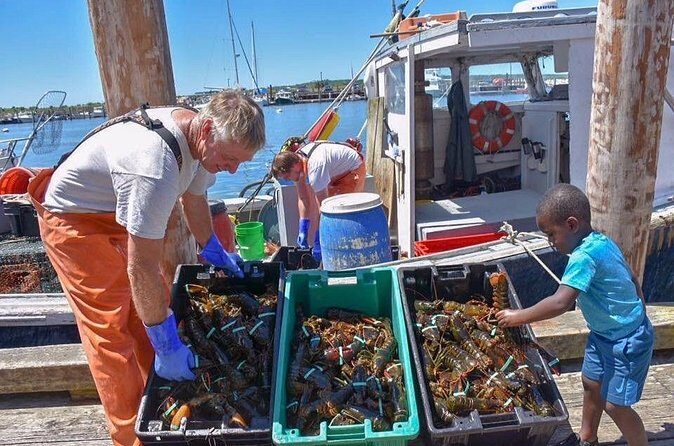 Boston to Kennebunkport with Optional Lobster Tour - Who Will Love This Tour?