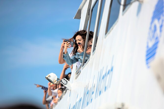 Boston Whale Watching Cruise by High-Speed Catamaran - Meeting Point and Transportation