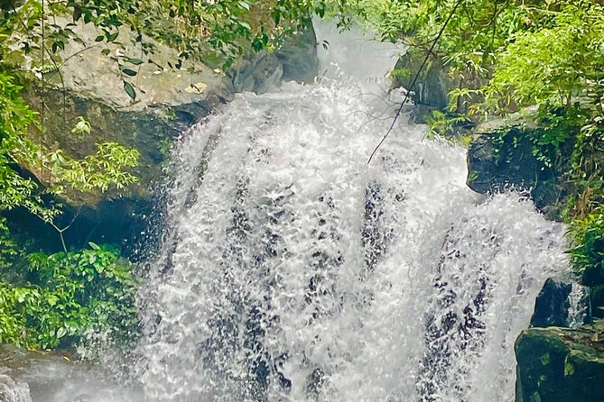 Botanic Garden - Paradise Cave - Zipline at Dark Cave - Duck Farm - Detailed Breakdown of Each Stop