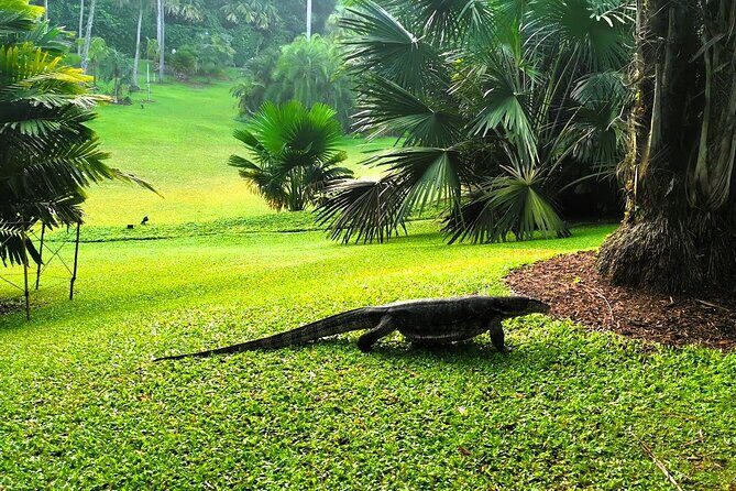 Botanic Gardens & Tiong Bahru Walking Tour with Breakfast - Hidden Gems: POW Brick Steps and Swan Lake