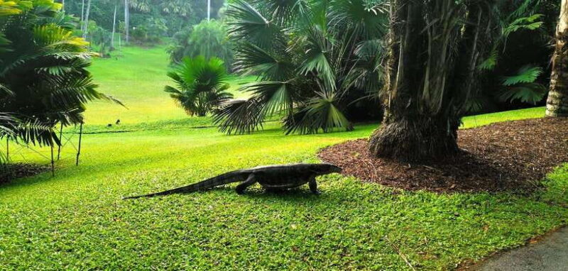 Botanic Gardens & Tiong Bahru Walking Tour with Breakfast - Key Points