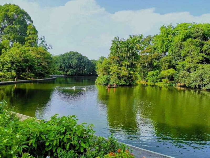 Botanic Gardens & Tiong Bahru Walking Tour with Breakfast - What to Expect on the Tour