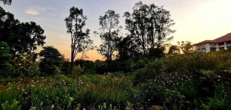 Botanic Gardens & Tiong Bahru Walking Tour with Breakfast - FAQ