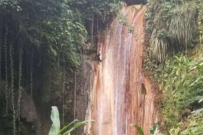 Botanical Garden Exploration - Who Will Benefit Most?