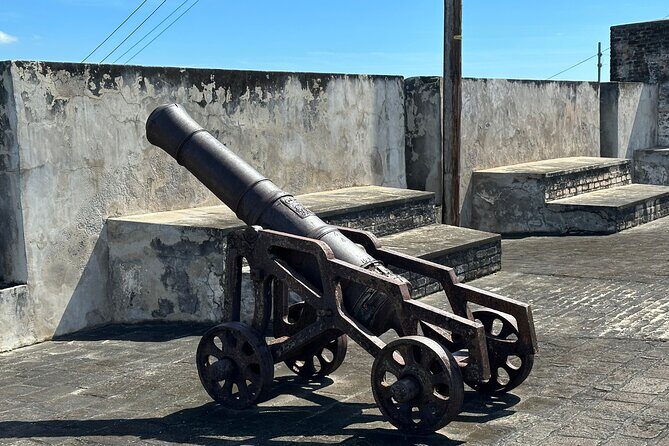 Botanical Gardens and City Tour - Is This Tour Right for You?