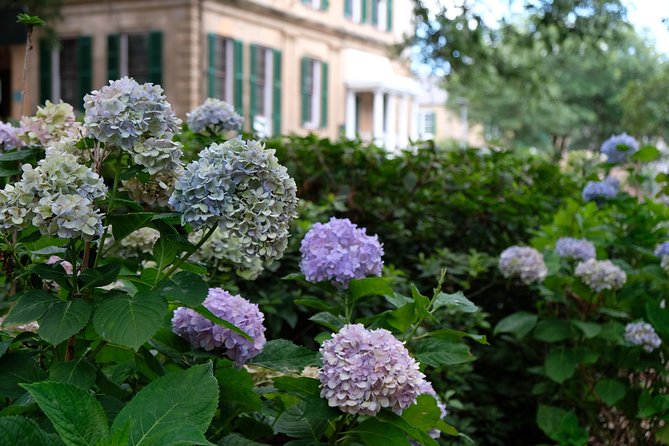 Botanical Tour (by Walk With Me Savannah Tours) - Final Thoughts