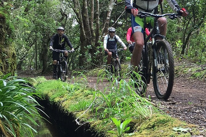 Botanical Trails of Madeira. Mountain Biking Trail Experience - Itinerary Highlights