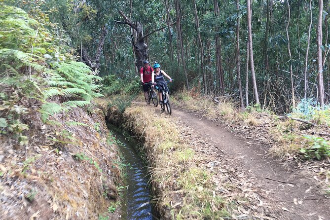 Botanical Trails of Madeira. Mountain Biking Trail Experience - Stunning Vistas and Levadas