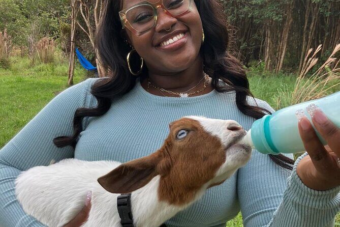 Bottle Feed & Cuddle Baby Goats Tour on Big Island Farm - The Experience Breakdown