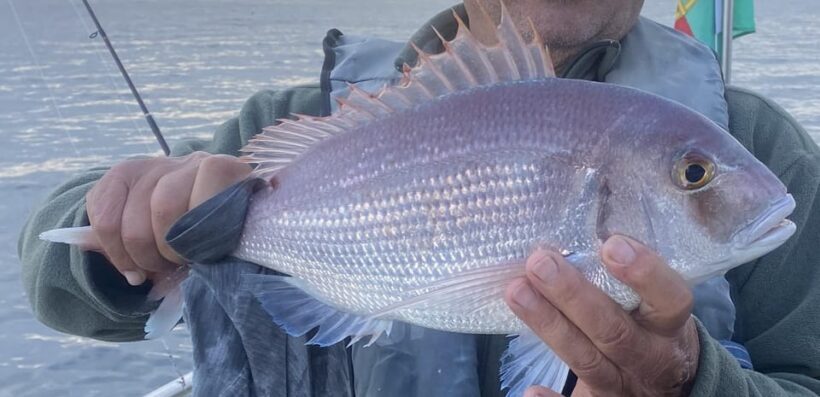 Bottom Fishing Lagos - The Value of the Tour
