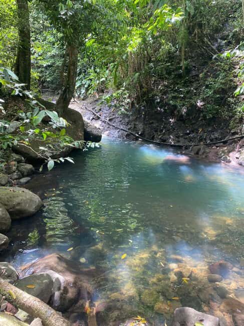 Bouillante Tour: Discover the city of hot water - A Tour That Celebrates Authentic Bouillante