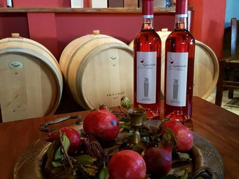 Boutique Expedition-Small Group, Olympia, Wine & Oil Taste - Savoring Greek Wines
