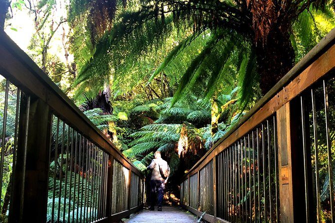 Boutique Great Ocean Road, wildlife and Rainforest Experience - Who Should Consider This Tour?
