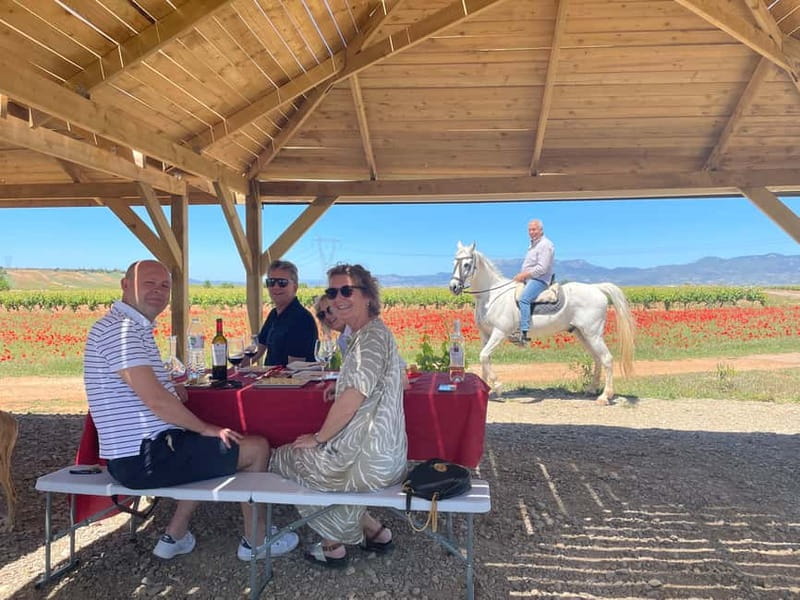 Boutique Rioja Wine Tour with Charming Lunch (From Bilbao) - What Makes This Tour Stand Out?