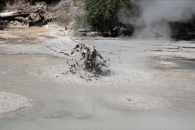 Boutique tour , Mt Maunganui, NZ farm, Rotorua lakes/geothermal - Te Puke and the Kiwi Orchards