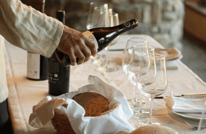 Boutique Winery Tour & Tasting in North Tuscany - The Price and Value