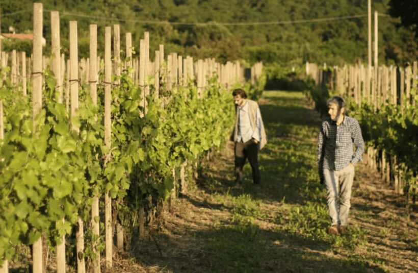 Boutique Winery Tour & Tasting in North Tuscany - FAQ