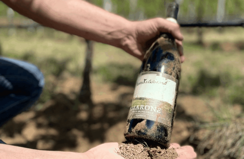 Boutique Winery Tour & Tasting in Valpolicella - Authenticity and Reviews