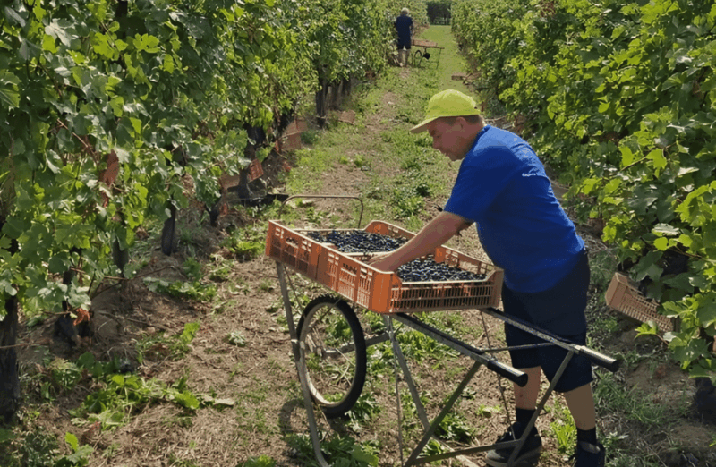 Boutique Winery Tour & Tasting in Valpolicella - Final Thoughts