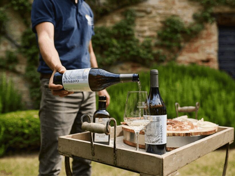 Boutique Winery Visit & 5 Organic Wine Tastings near Urbino - Exploring the Tour: What to Expect at Each Step