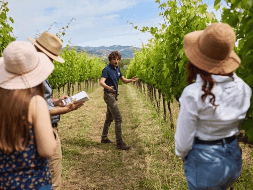 Boutique Winery Visit & 5 Organic Wine Tastings near Urbino - Practical Details
