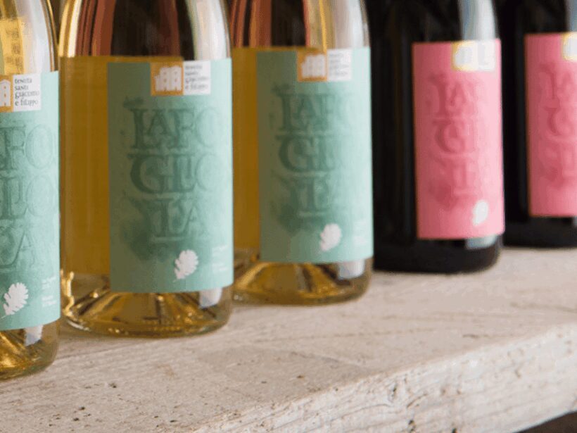 Boutique Winery Visit & 5 Organic Wine Tastings near Urbino - Who Will Love This Tour?