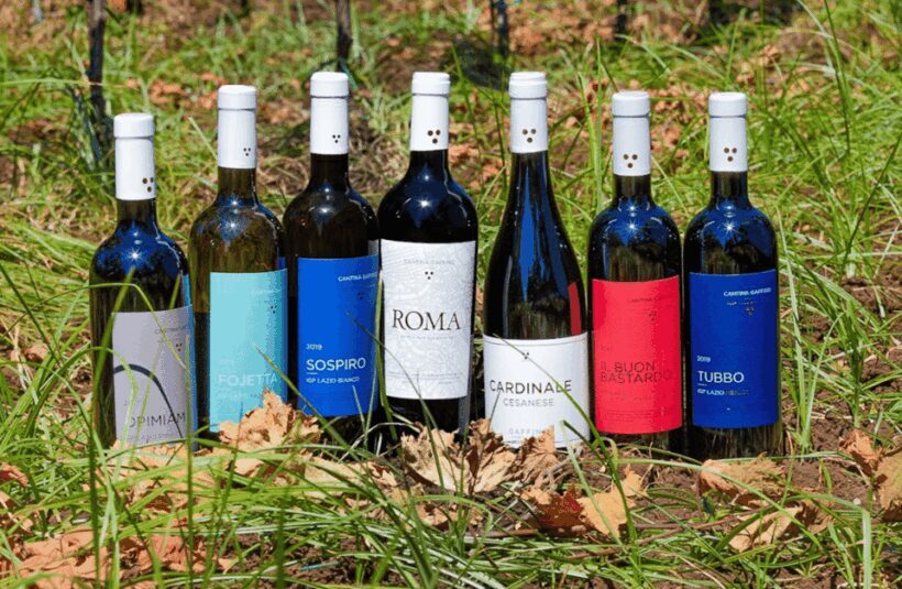Boutique Winery Visit & Tasting near Rome - The Food and Pairings