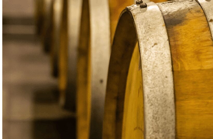 Boutique Winery Visit & Tasting near Rome - Who Will Enjoy This Tour?