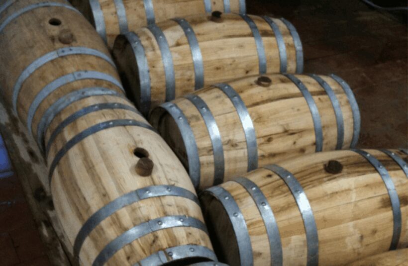 Boutique Winery Visit & Wine Tasting near Arezzo - An In-Depth Look at the Experience