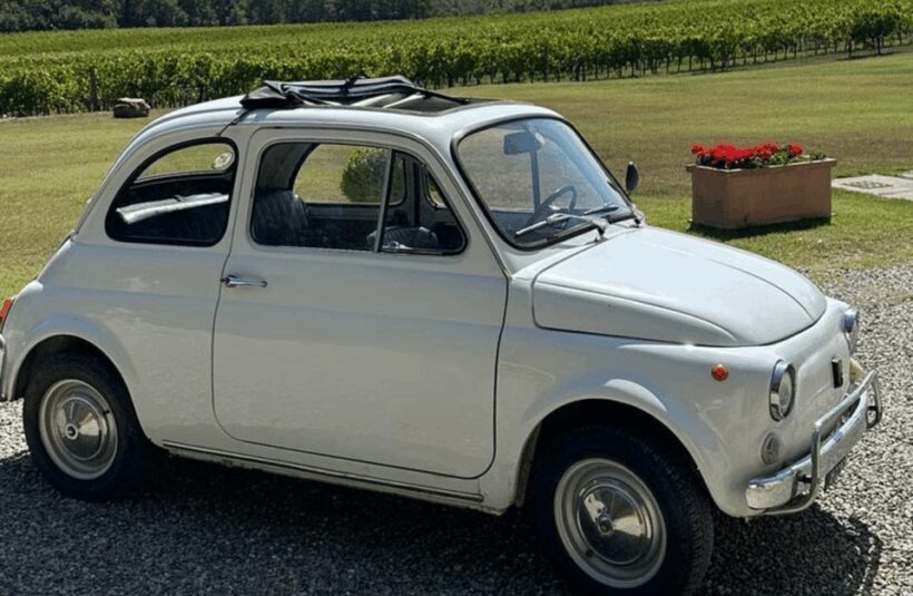 Boutique Winery Visit & Wine Tasting near Arezzo - Who Should Consider This Tour?